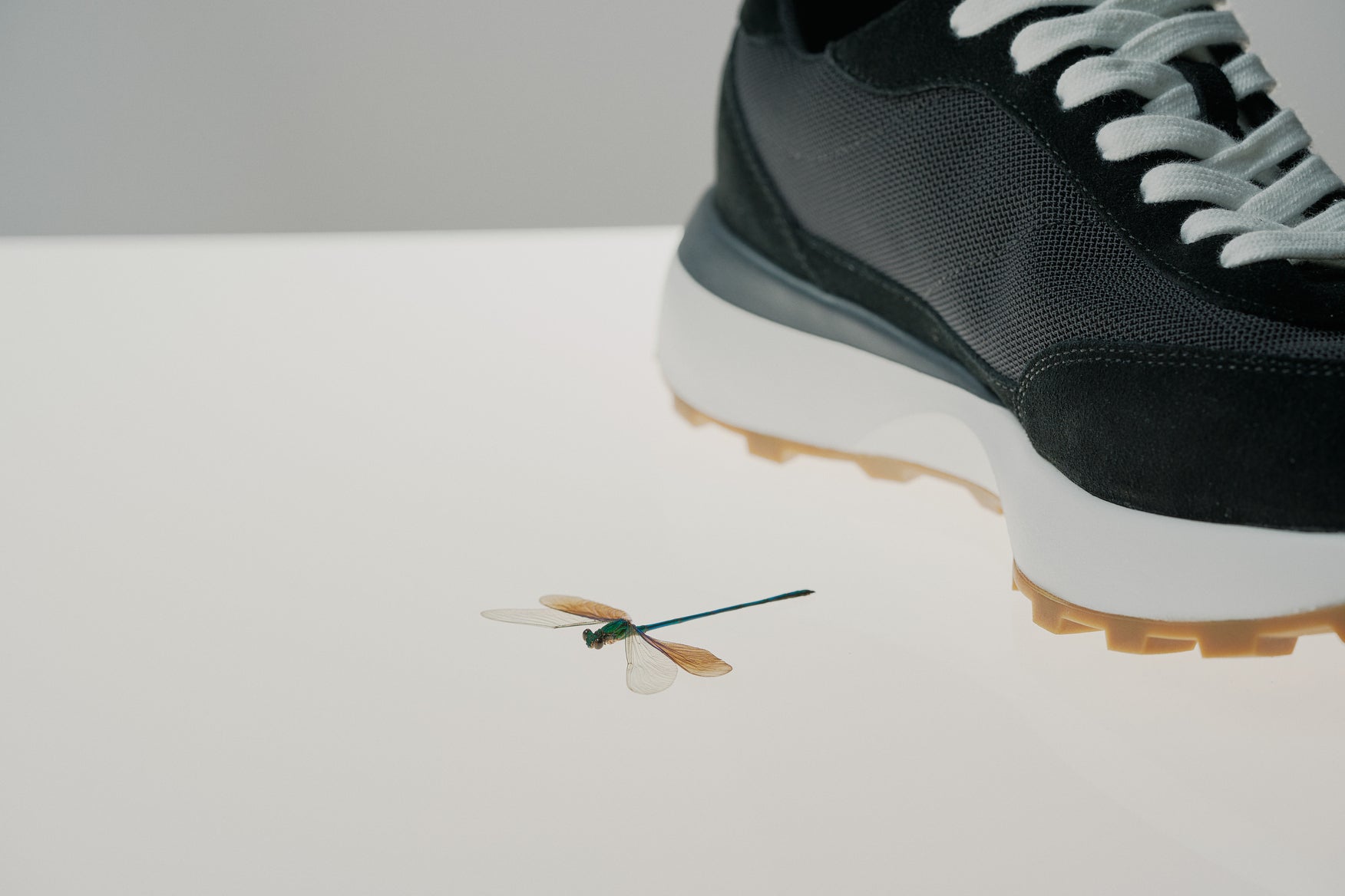 スニーカーと運動靴の違いとは？意味・用途・選び方をわかりやすく解説 – FILLIN